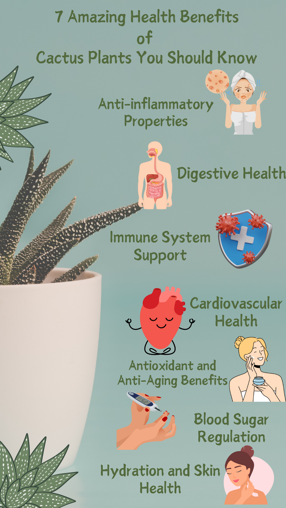 7 Amazing Health Benefits of Cactus Plants You Should Know - Victorias ...