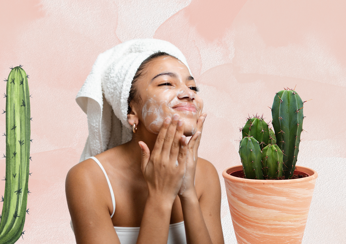 10 Cactus Benefits You Didn’t Know About - Victorias Health